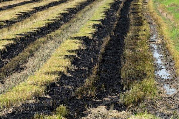 Differences Between Grading and Excavation: Explained